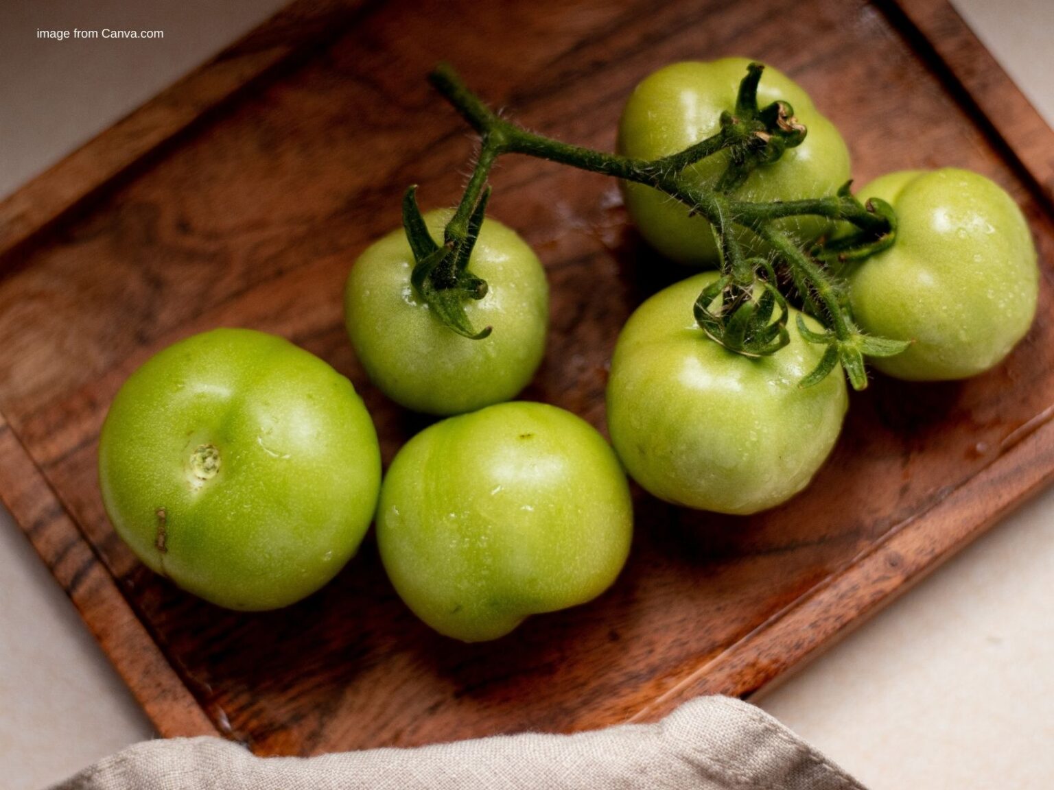 Vegan Fried Green Tomatoes With Molcajete Salsa | Mexican Made Meatless™